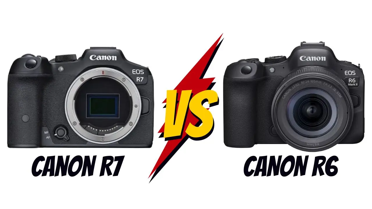Canon EOS R7 vs Canon EOS R6 : comparatif complet, différences et ...